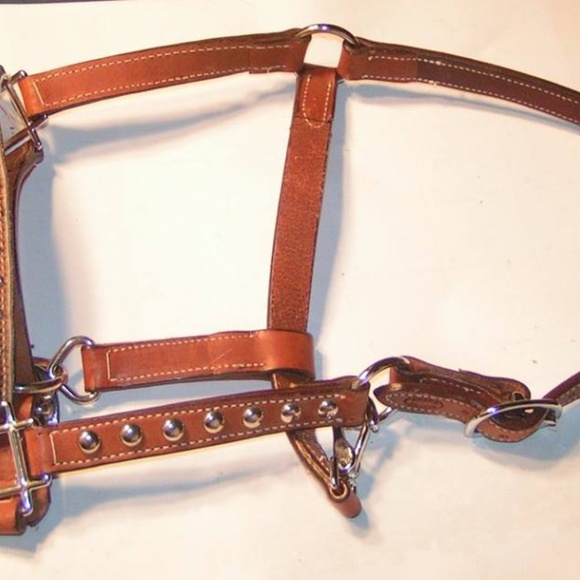 No Brand | Other | Hair On Hide Leather Stud Bronc Halter Extra Ship ...